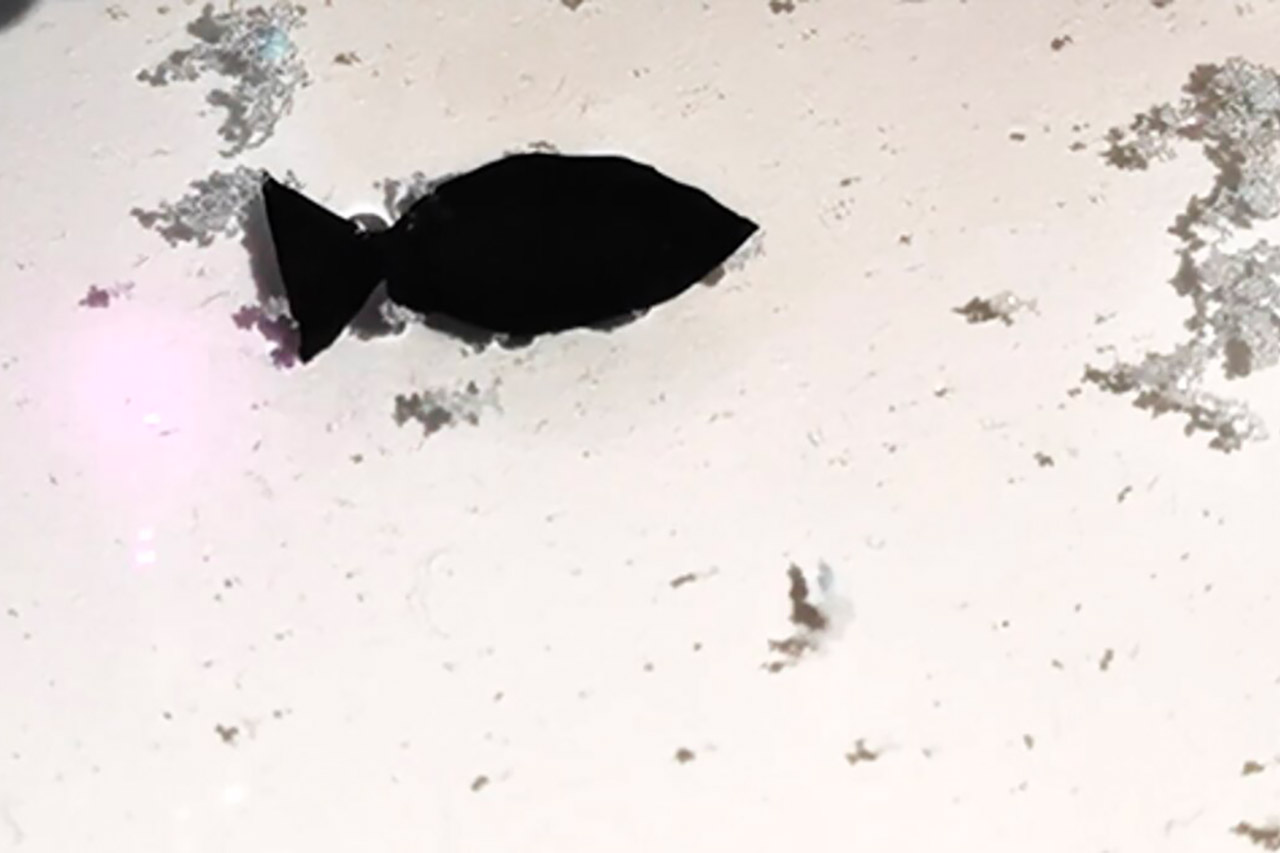 Robotic Fish That Consumes Microplastics - Best Events Productions